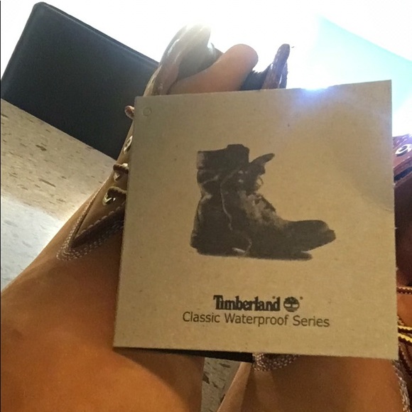 Timberland | Shoes | Popular Wheat Tims | Poshmark